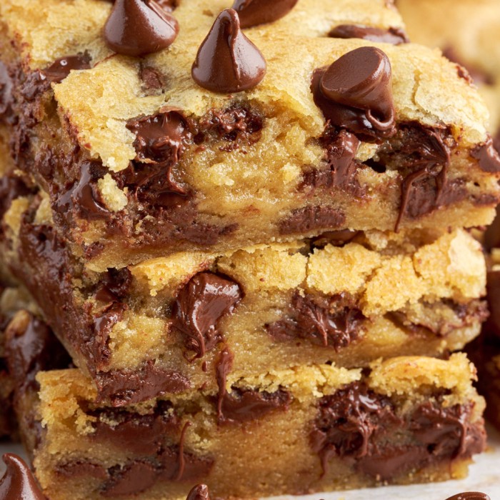 Easy Chocolate Chip Coconut Cookie Bars With Almonds
