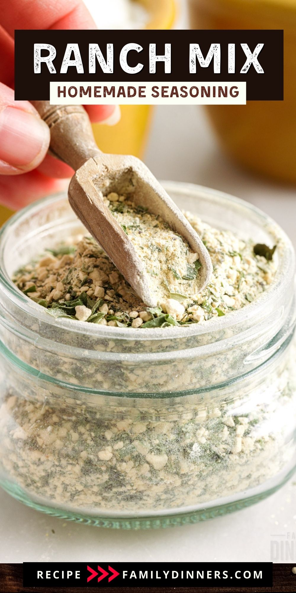 Homemade Ranch Seasoning Recipe - Family Dinners